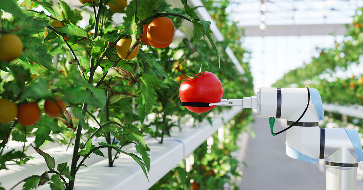 The future of food: Sustainable agriculture: a new path is being ...